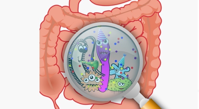 Microbiomul - cum îl hrănim și de ce primii 3 ani de viață sunt atât de ...