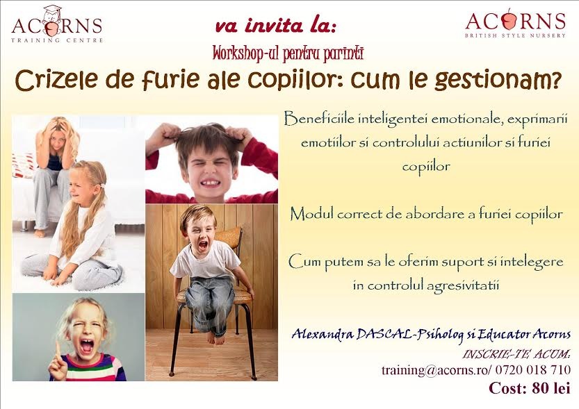 Workshop-ul Workshop-ul